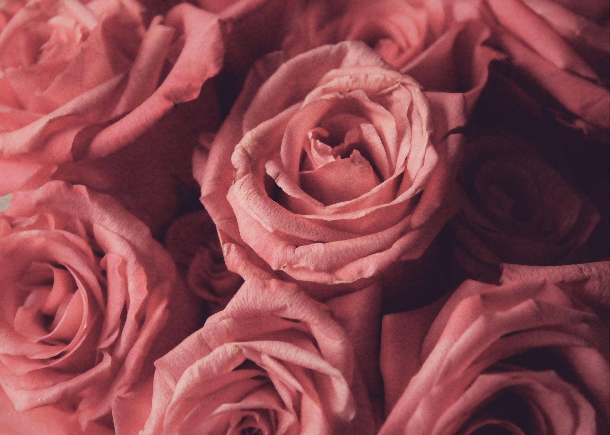 Inspiring Quotes - Maria Gaffney Blog